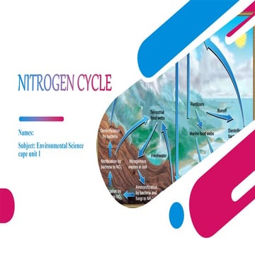 NITROGEN CYCLE envi.pptx