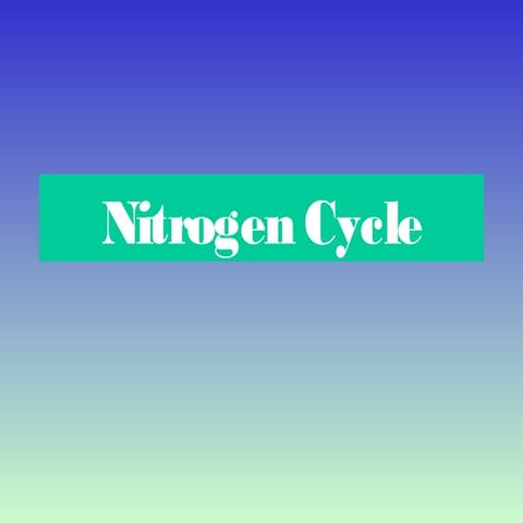 Nitrogen cycle (ppt presentation) | PPT