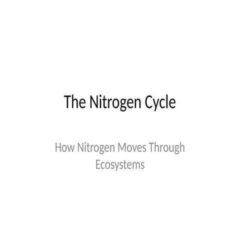 THE NITROGEN cycle biology for Sec 10 grade | PDF