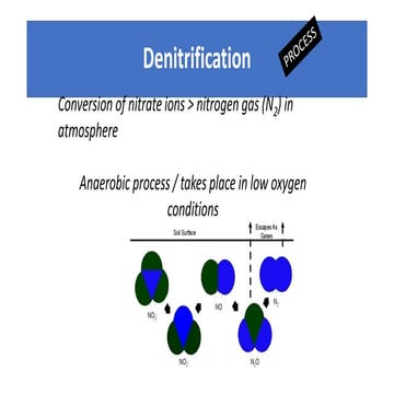 Nitrogen cycle student slides.pptx
