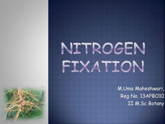 Nitrogen fixation | PPTX | Gardening | Home & Garden