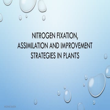 Nitrogen Fixation, Assimilation in plansts. | PPTX
