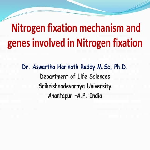 Nitrogen fixation mechanism and genes involved in nitrogen fixation | PPTX