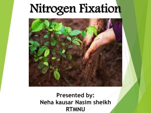 Biological nitrogen fixation | PDF