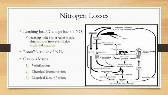 Nitrogen Cycle | PPTX