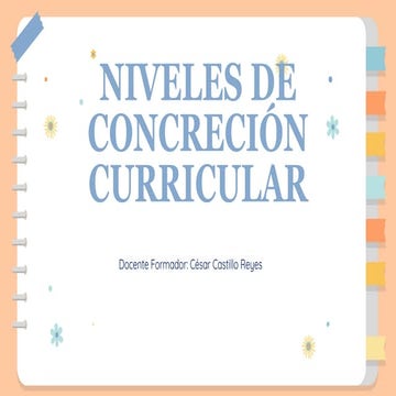 NIVELES DE CONCRECION CURRICULAR 2024 .pptx