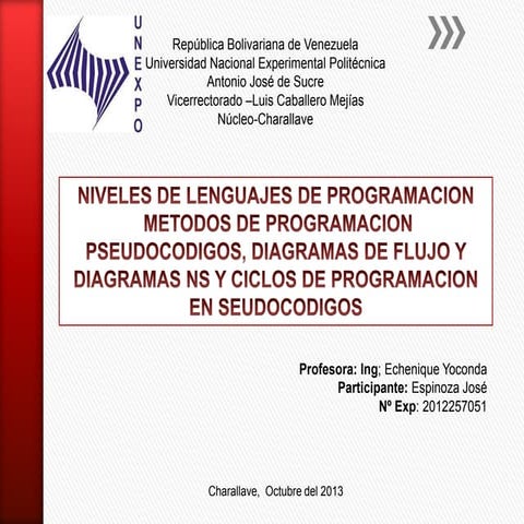 Niveles de lenguajes de programacion | PPTX