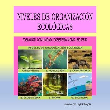 Niveles de organización ecológicas | PPTX