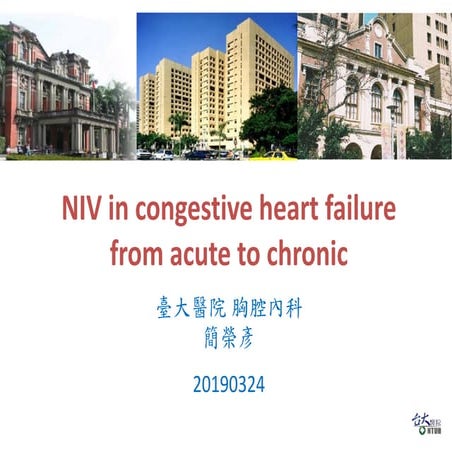 NIV in CHF | PDF