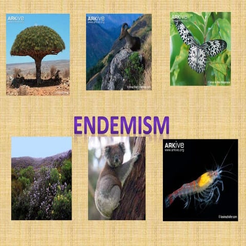 endemism--priyanivi-wcc | PPTX