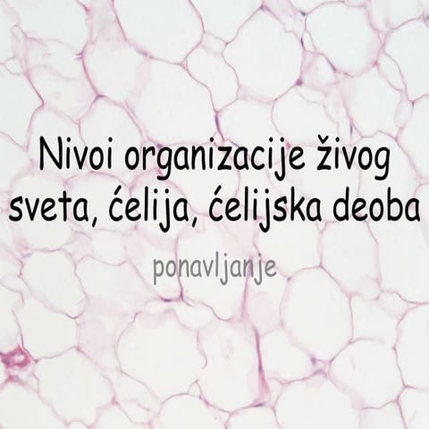 Nivoi organizacije, ćelija i ćelijska deoba-ponavljanje | PPTX