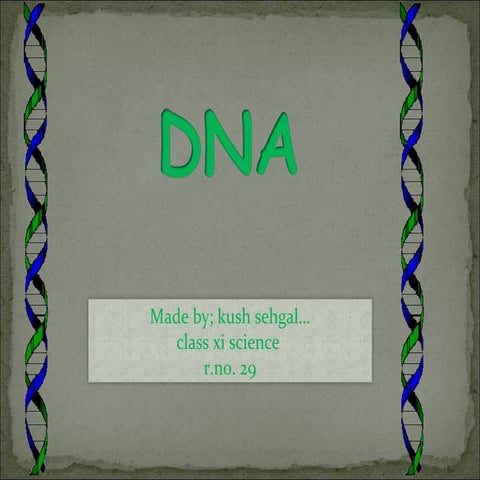 DNA | PPT