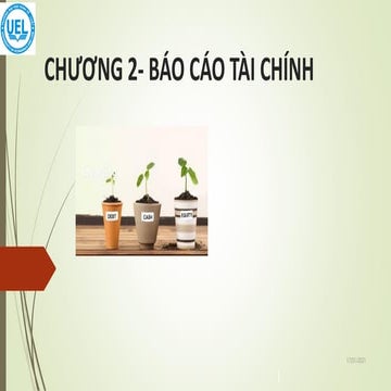 NLKT C2_BAO CAO TAI CHINH CO NGUYEN THI KHOA.pdf