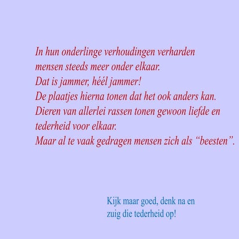 Nl nw jaar | PPSX | Fish and Aquariums | Pets