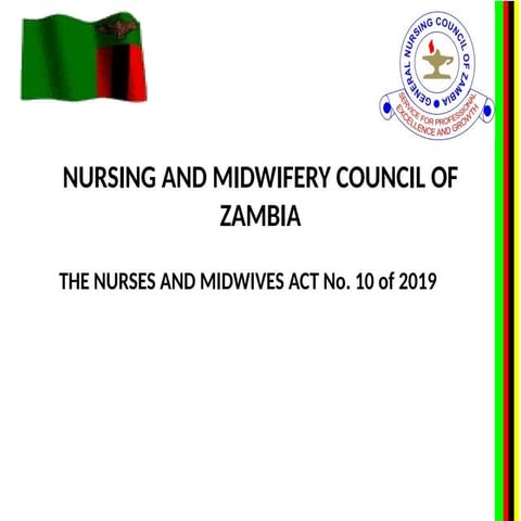 NMCZ - N & MA No. 10, 2019, edited 2020.pptx EDITED.pptx