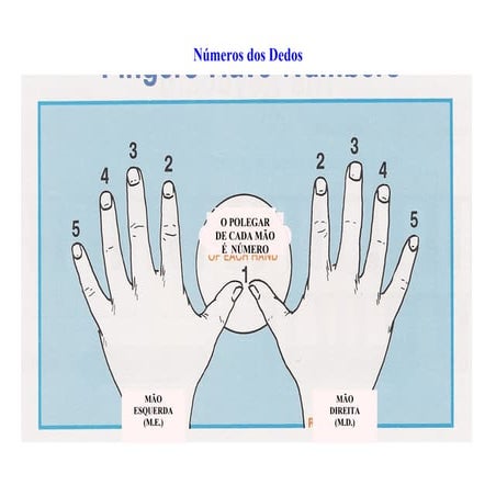 Números dos dedos - Teclado e Piano | PPT