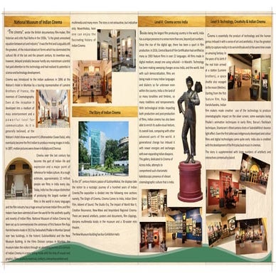 Brief Profile- Amaresh Misra | DOCX