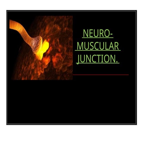 neuro muscular junction power point presentation | PPTX