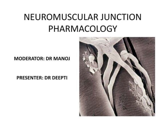 Muscle Relaxants DMR & NDMR | PDF | Physical Therapy | Wellness