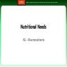 Macro-nutrients | PPTX