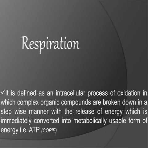 Chapter_13_Respiration.pptx