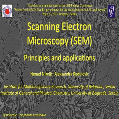 NN SEM. - principles and application.ppt