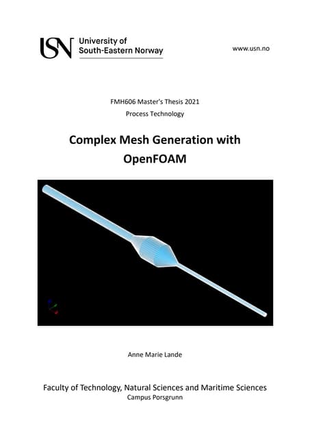 Complex Mesh Generation With Openfoam Thchnical Pdf 0157