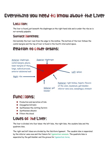 Hepatobiliary system | PPT