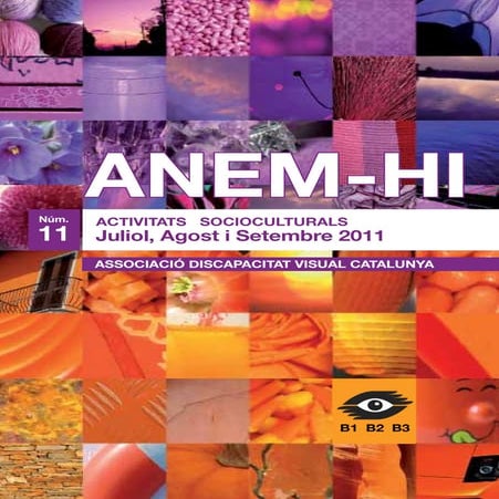 Revista ANEM-HI - Año 2011- Nº11 | PDF