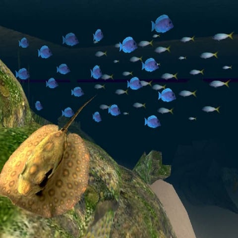 NOAA's Virtual Island Photos | PPT