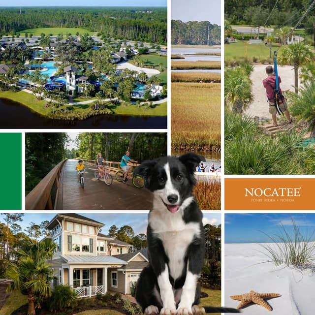 Nocatee Community Lifestyle Guide | PDF