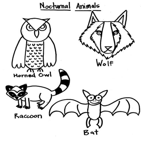 Smart With Art: Nocturnal Animals Reference Sheet - 1st grade | PDF