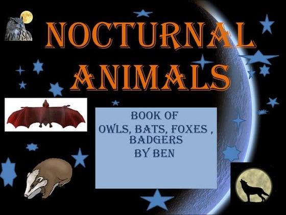 Nocturnal animals | PPTX