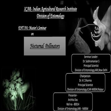 Silent nights: The essential role of Nocturnal Pollinators - .pptx