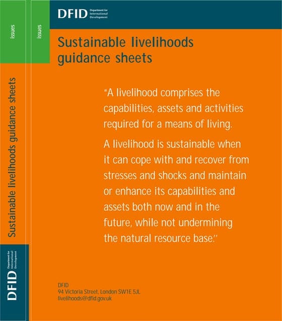 Rural Livelihood And Poverty In Tanzania | PDF | Agriculture | Industries