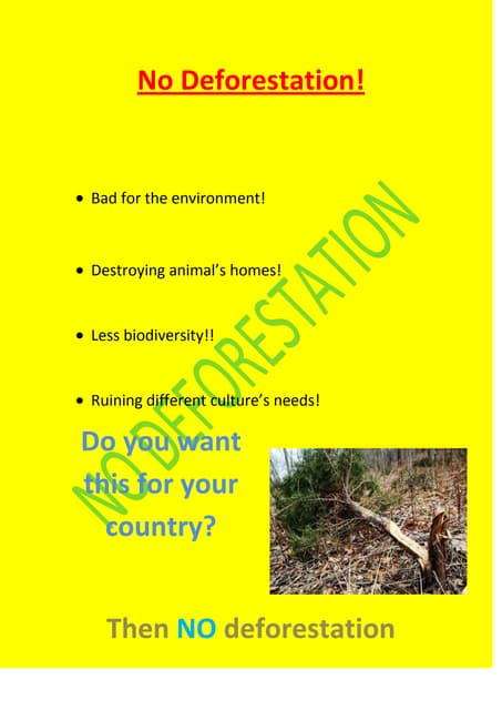 Rainfoest poem | PDF