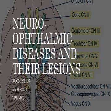 Neuro Ophthalmic diseases and their lesions | PPTX