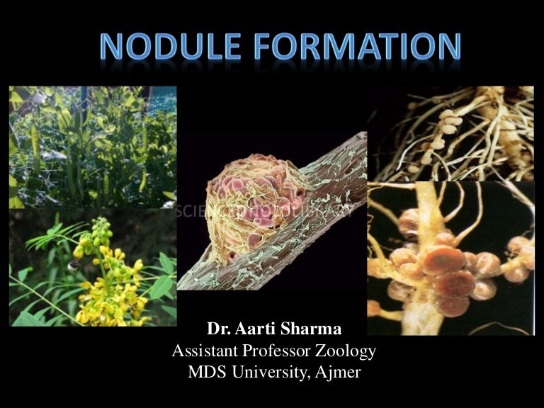 Nodule formation