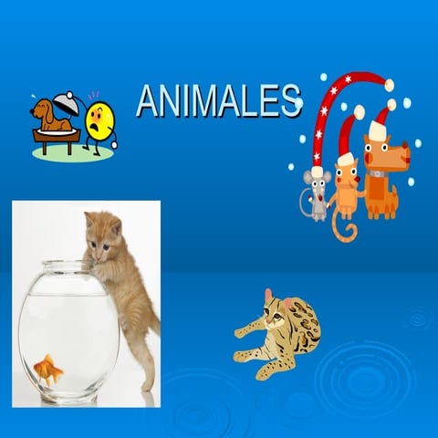 Animales | PPT