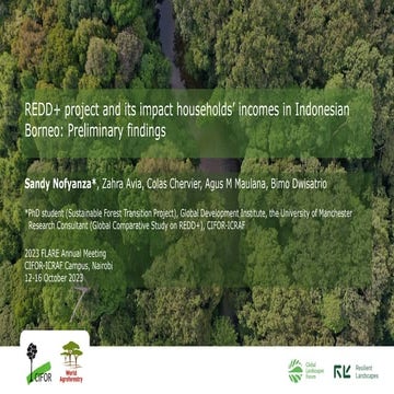 REDD+ project and its impact households’ incomes in Indonesian Borneo ...