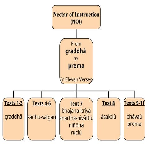 The Nectar of Instruction - Overview - 12 slides.ppt