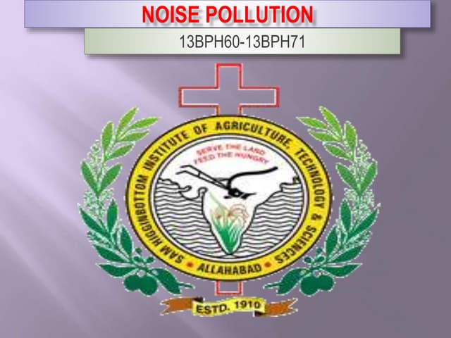 Noise pollution Environmental Studies | PPTX