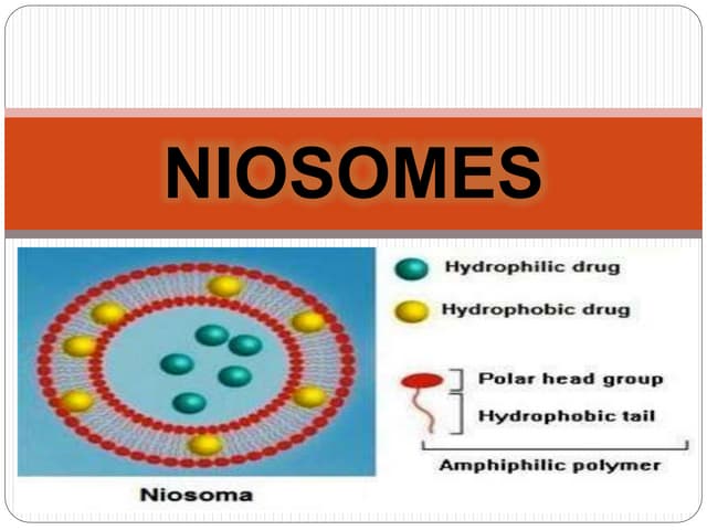 Niosomes | PPTX