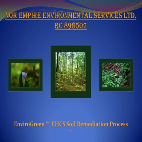 Nok empire environmental_services_ltd. remediation process | PDF