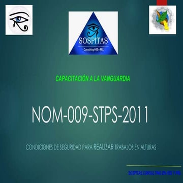 NOM 017 STPS 2008 Estudio y Analisis de EPP.pdf