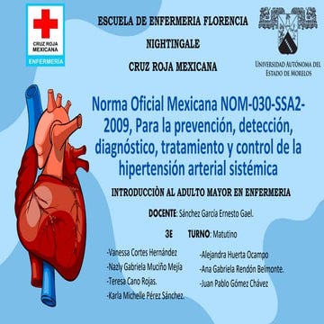 NOM-030-SSA2-2009.pdf