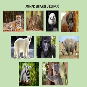 Power point animals en perill d'extinció per a educació infantil | PPTX