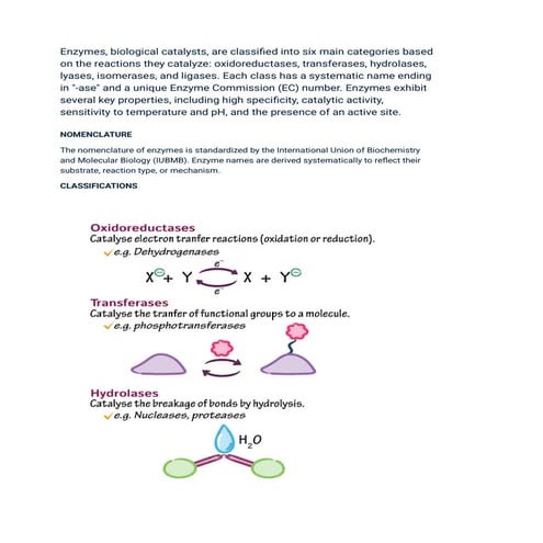 Classification and nomenclature of enzymes | PPT