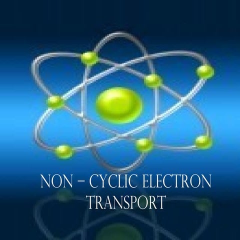 Cyclic and non cyclic photophosphorilation | PPTX