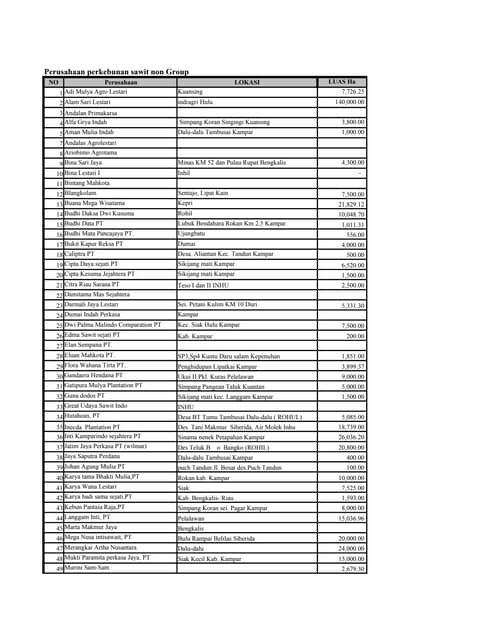 Incasi Raya Group | XLS